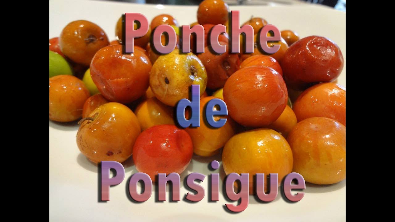 Te vas a MORIR cuando veas COMO hice este PONCHE \ bajando fruto ...