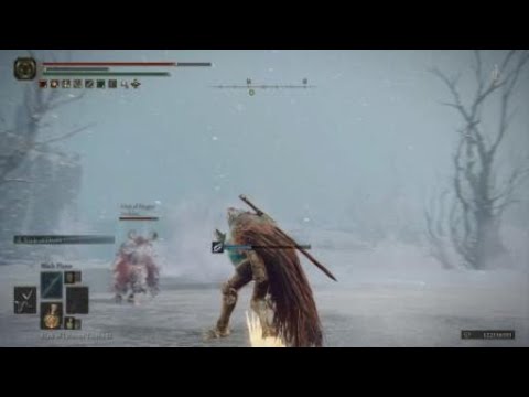 Elden Ring: Corpse Wax Cutter vs Borealis - YouTube