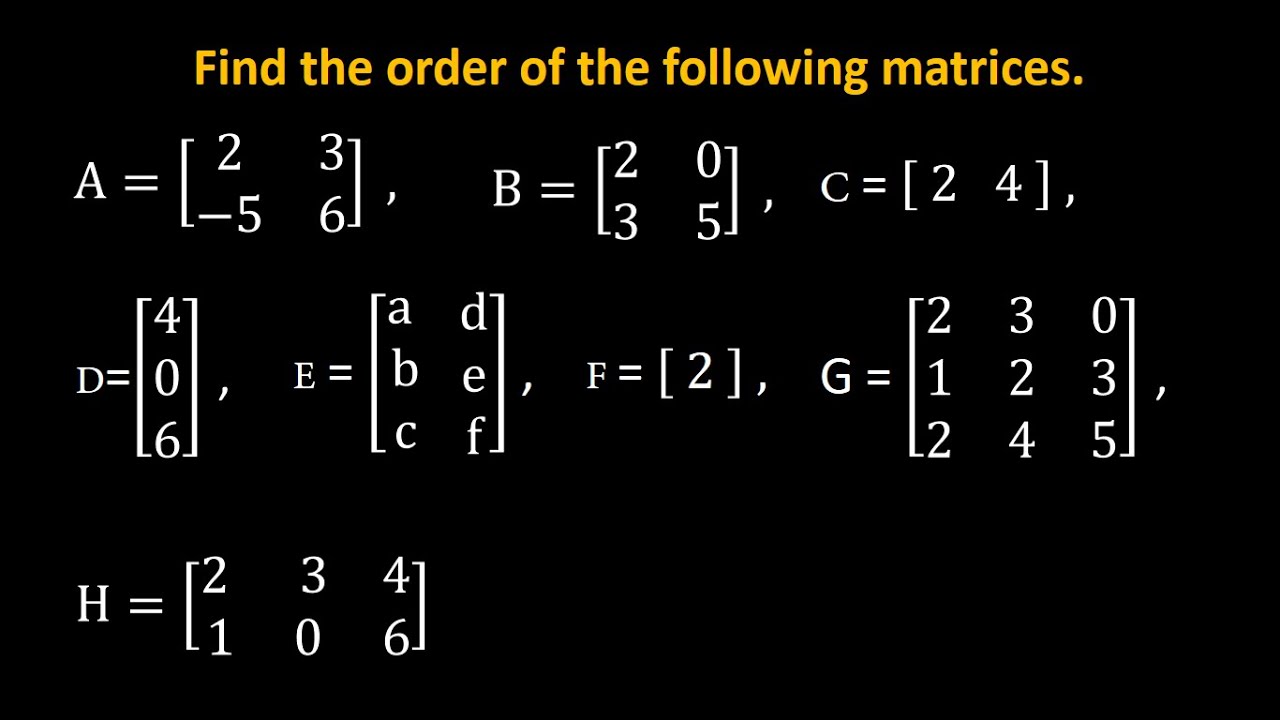 Exercise 1.1 | Q.1 Find the order of matrices | Class 9th - YouTube