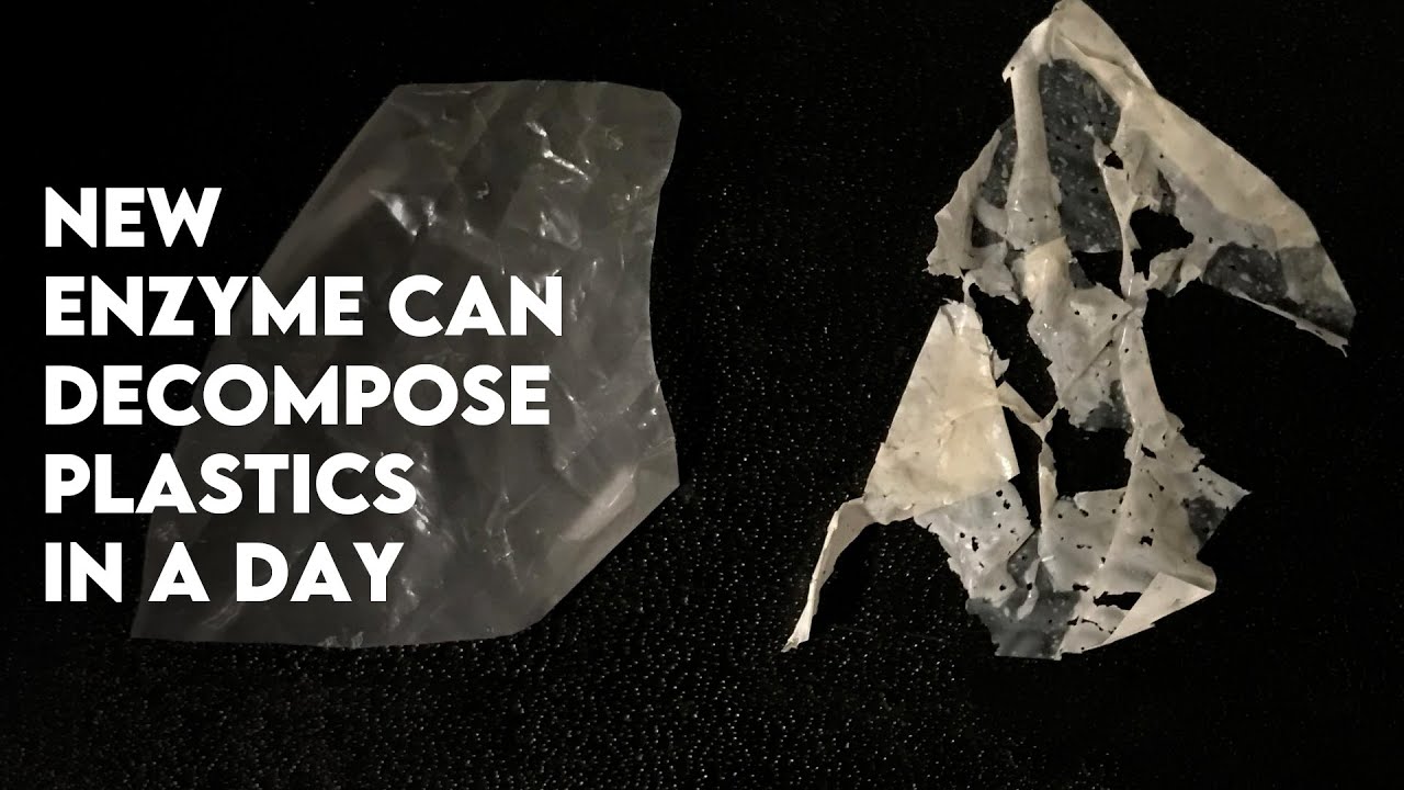 New Enzyme can decompose Plastics In a day - YouTube