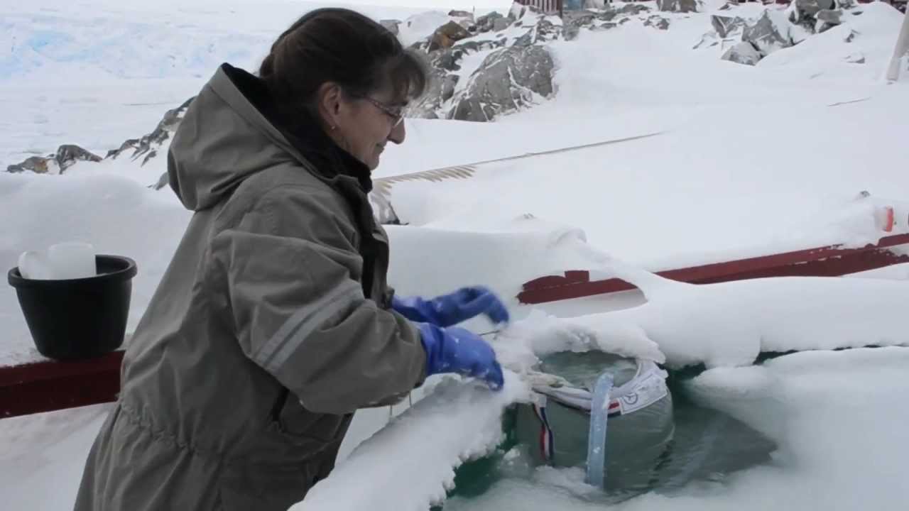 Sampling the Plankton Net - YouTube
