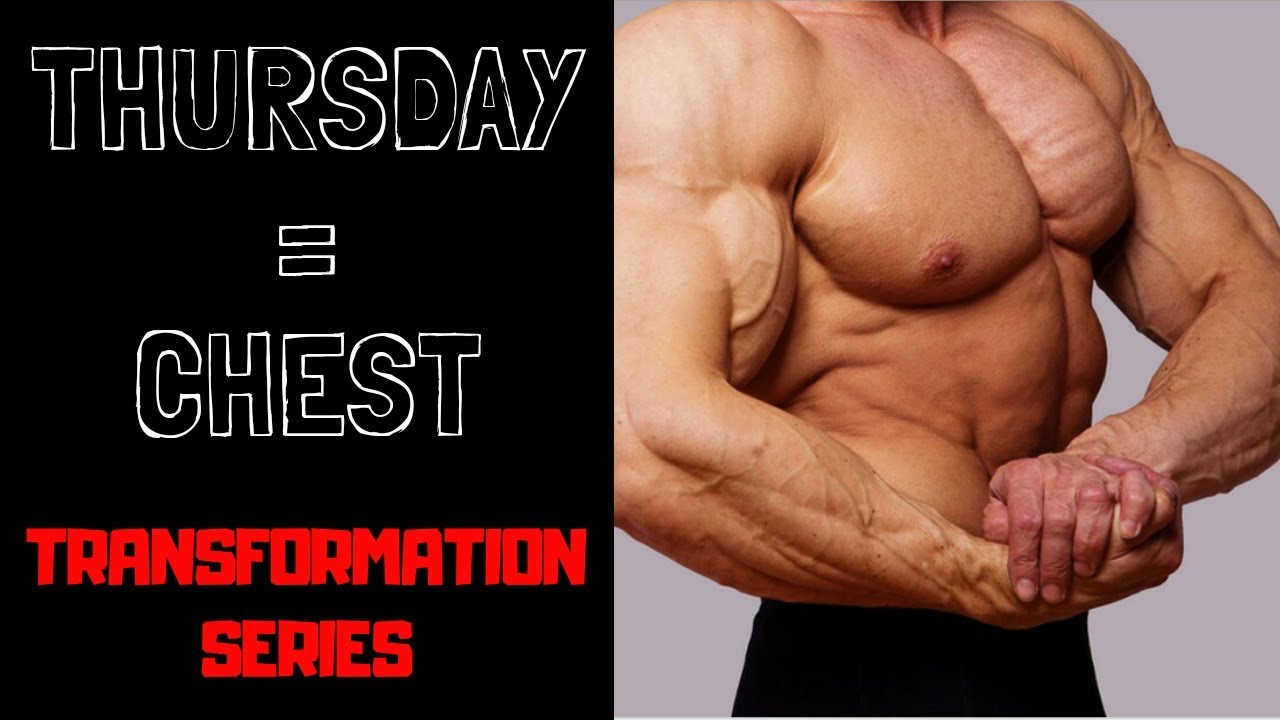 Thursday | Chest workout | Transformation series | ShapeUp India - YouTube