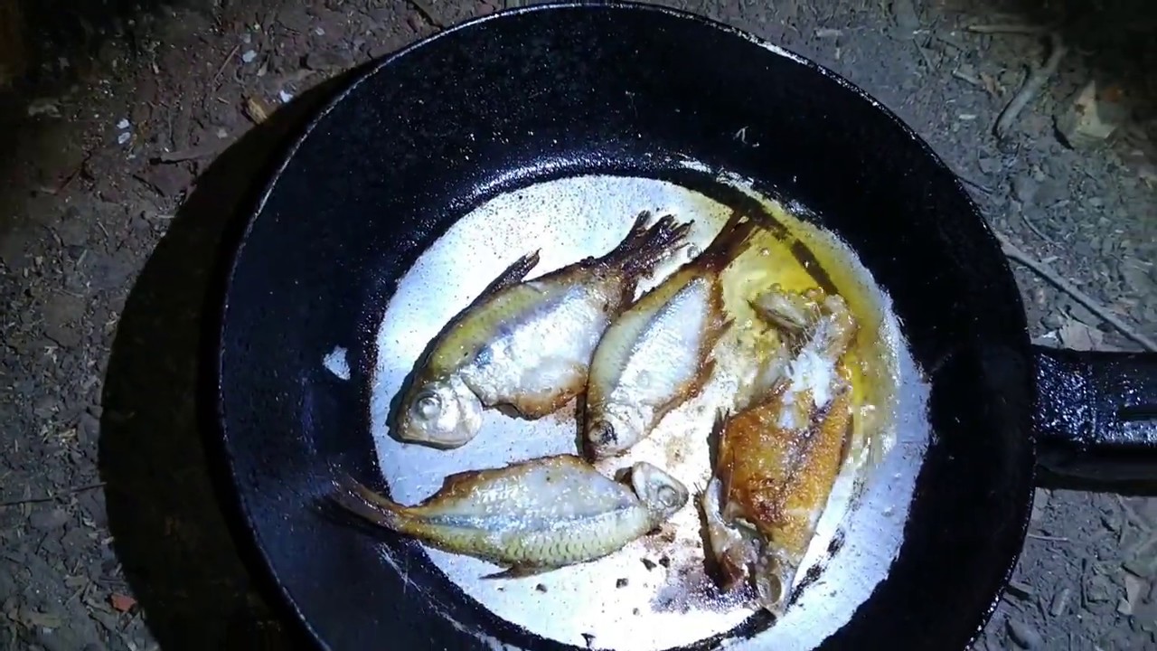 Pescando e fritando peixes no acampamento noturno! - YouTube
