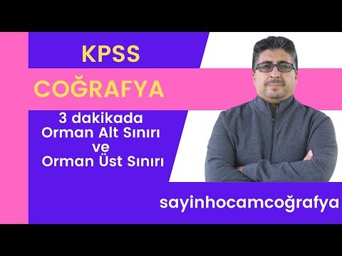 ORMAN ALT SINIRI VE ORMAN ÜST SINIRI