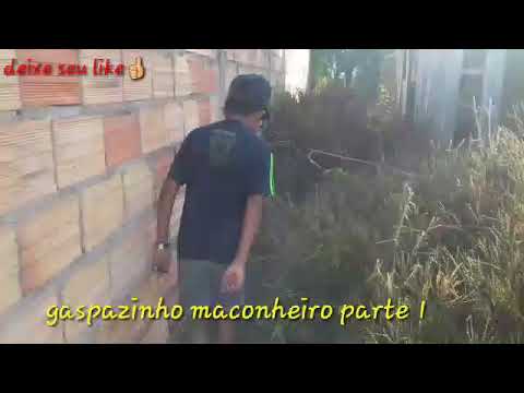 Gaspazinho maconheiro de Mãe do Rio😂😂