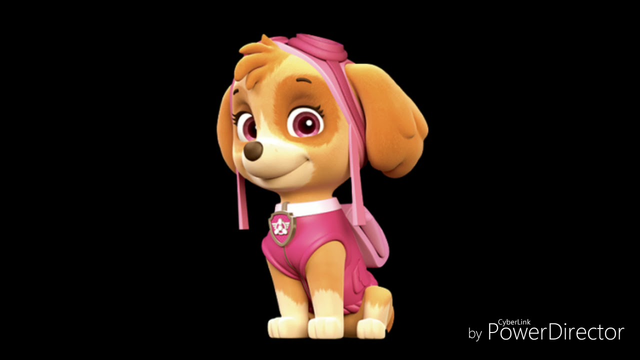 Proud Corazon - Coco - Paw Patrol - YouTube