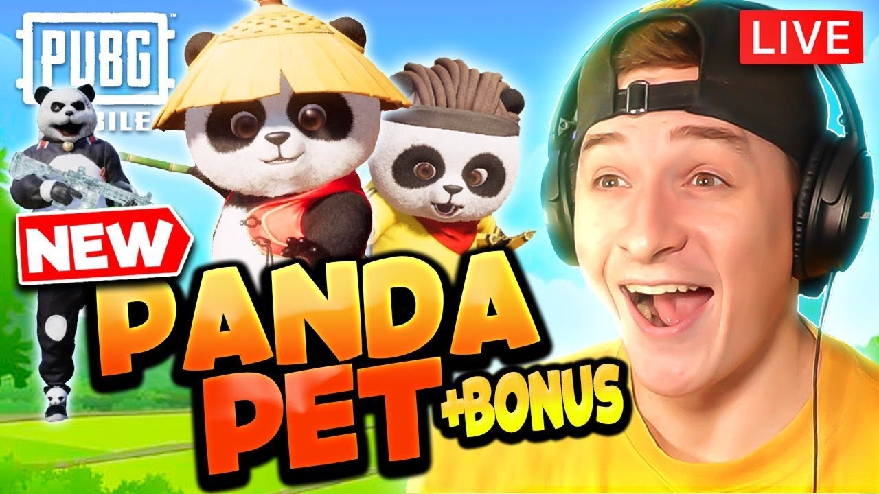NEW PANDA PET HOLA BUDDY SPIN! PUBG MOBILE - YouTube
