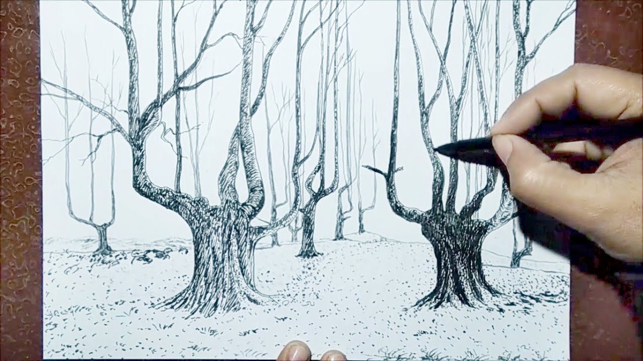How to draw Scary Trees || Forest Speed Drawing - YouTube