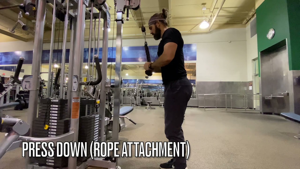 Tricep Pressdown (Cable) - Exercise Demo Video - YouTube