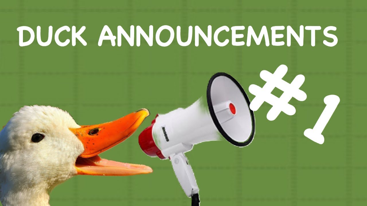 Duck announcements #1 - YouTube