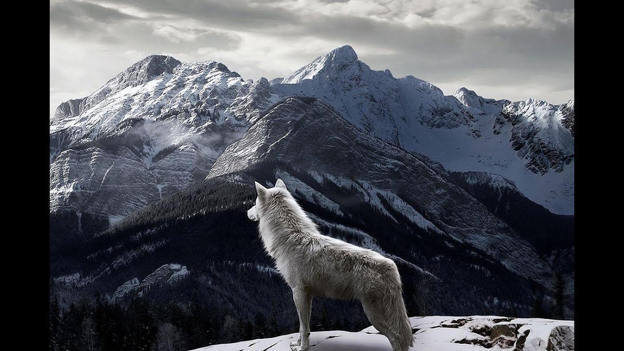 Nightcore - Wolves by Selena Gomez and Marshmello - YouTube