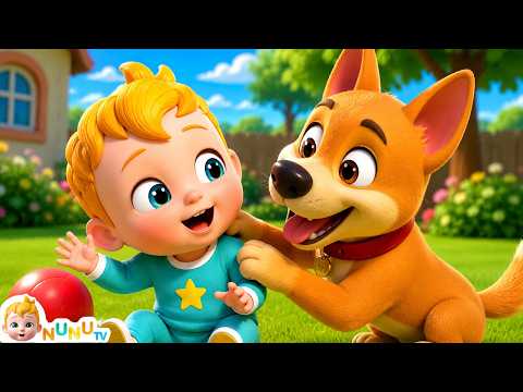 🎵 Bingo ile Eğlence Başlıyor! 🐶 | Nunu TV Çocuk Şarkıları Kolajı #nunutv #çocukşarkıları #bingo