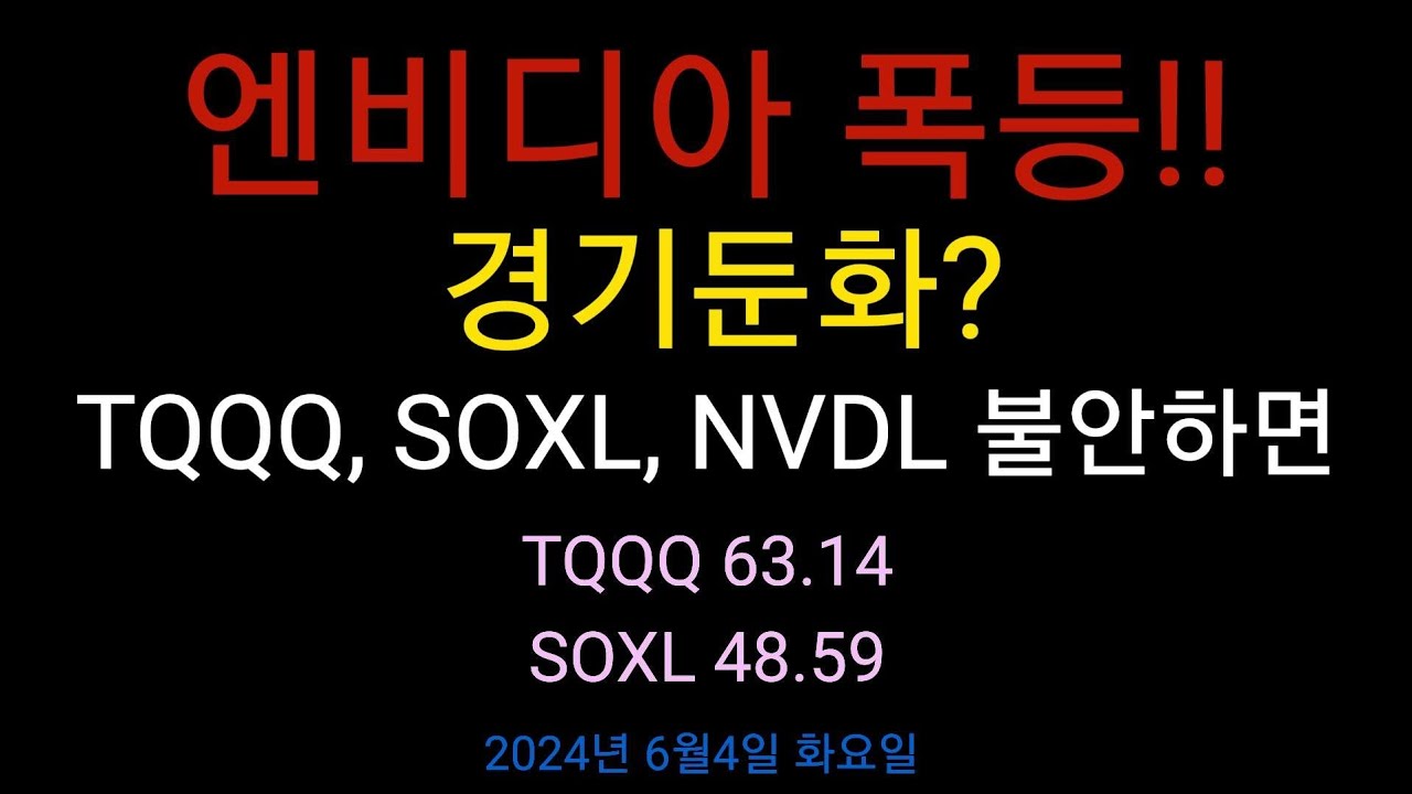 엔비디아 폭등!! 경기둔화? TQQQ, SOXL, NVDL 불안하나요? #미국주식 #bnku #반도체 - YouTube