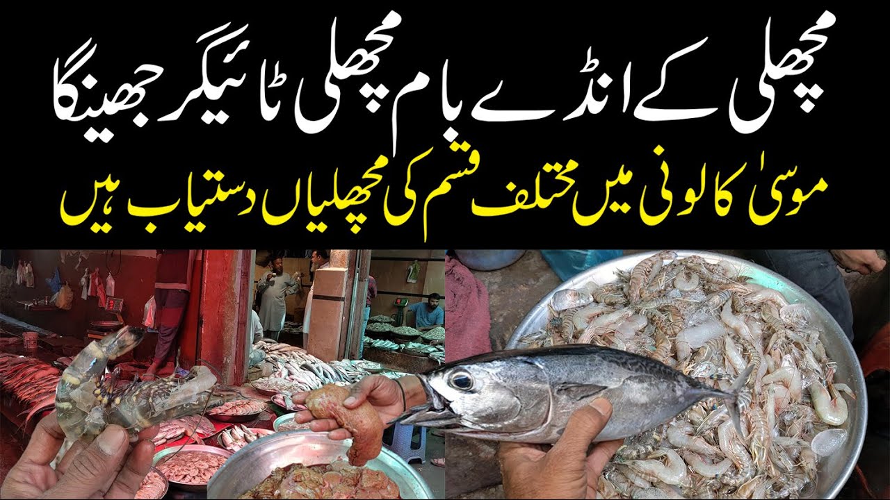 Moosa Colony Fish Market | Fish Wholesale Market | موسی کالونی میں ...