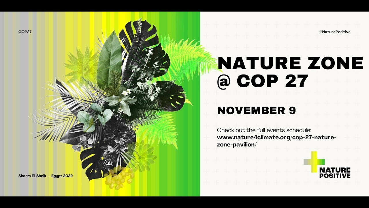 COP 27 - Transparency: The Key to Accelerating Global Nature ...