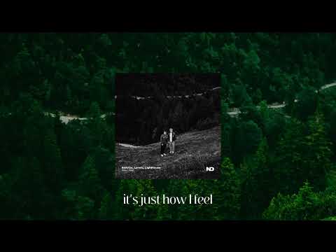 ItsArius, Lynnic & Lighthouse - How I Feel