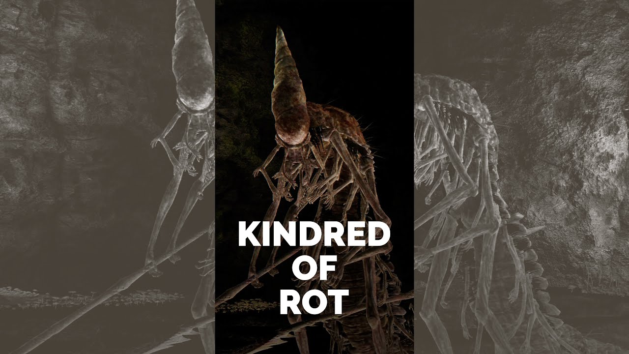 Duo Kindred of Rot [ Seethewater Cave ] | Elden Ring #shorts - YouTube