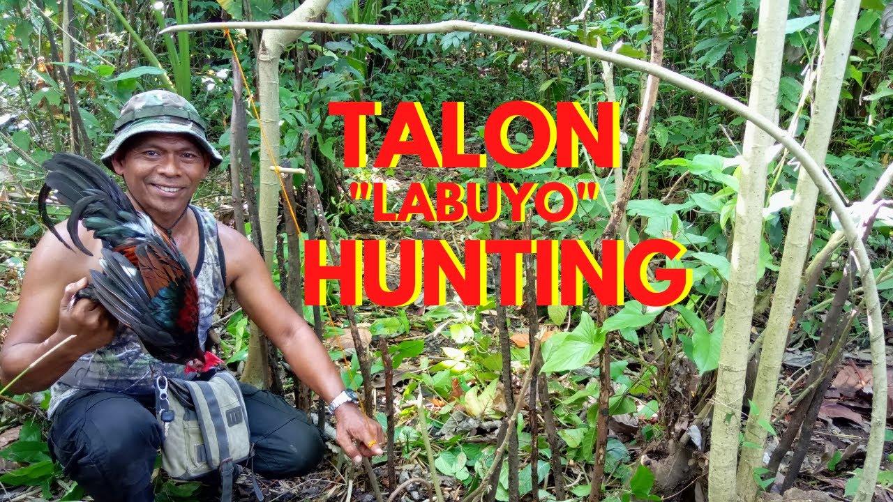LABUYO HUNTING SA MT. MAYON || Juan Lagalag - YouTube