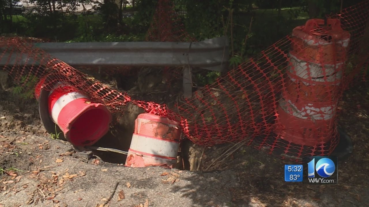 Neighbors want Norfolk to keep right-of-way trees off their homes - YouTube