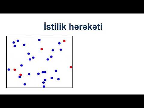 İstilik hərəkəti