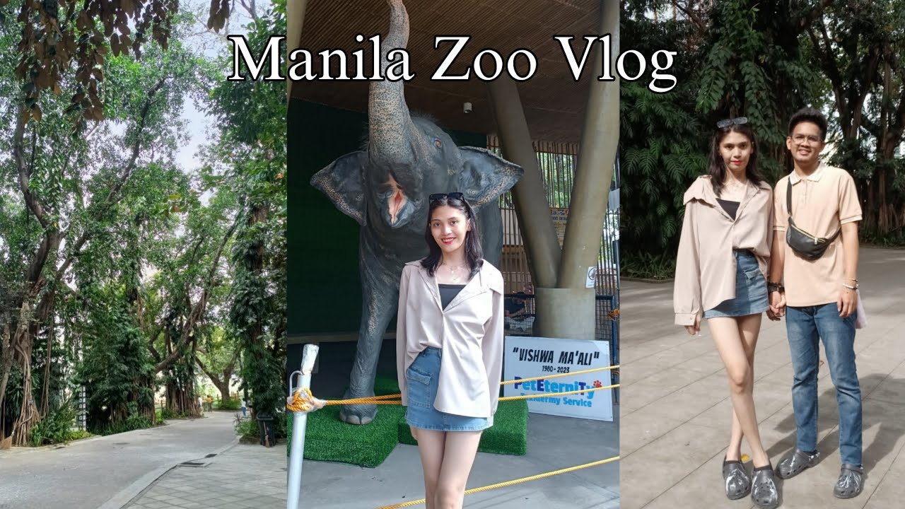 MANILA ZOO VLOG | Animal Sightseeing & Post-Monthsary Celebration 🐅💕 ...