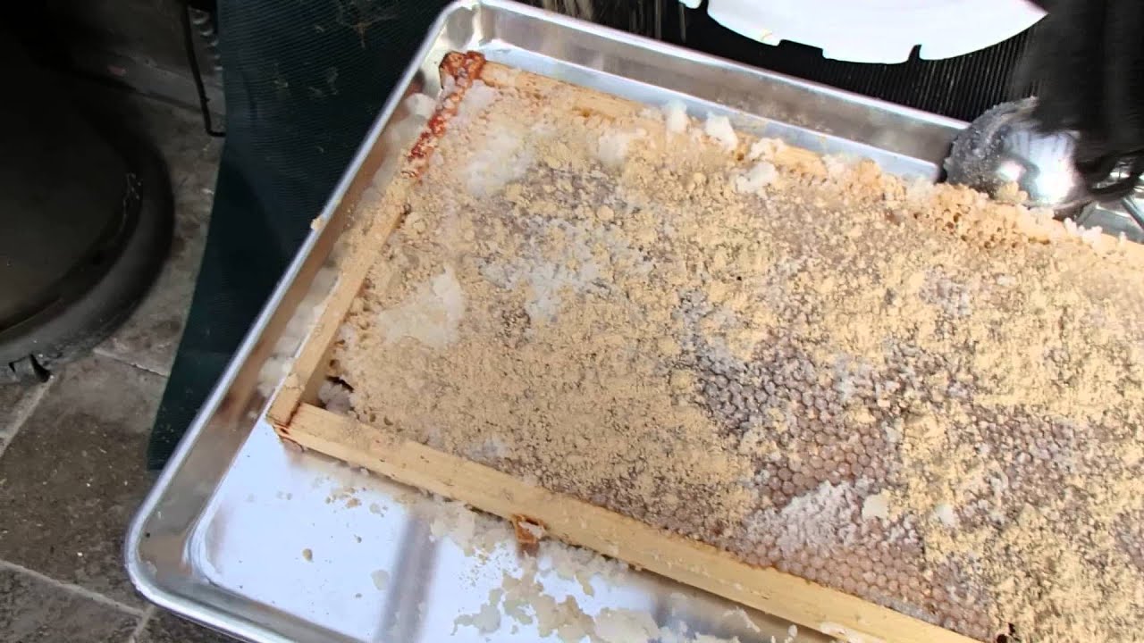 filling drawn comb with moistened sugar for interior feeding - YouTube