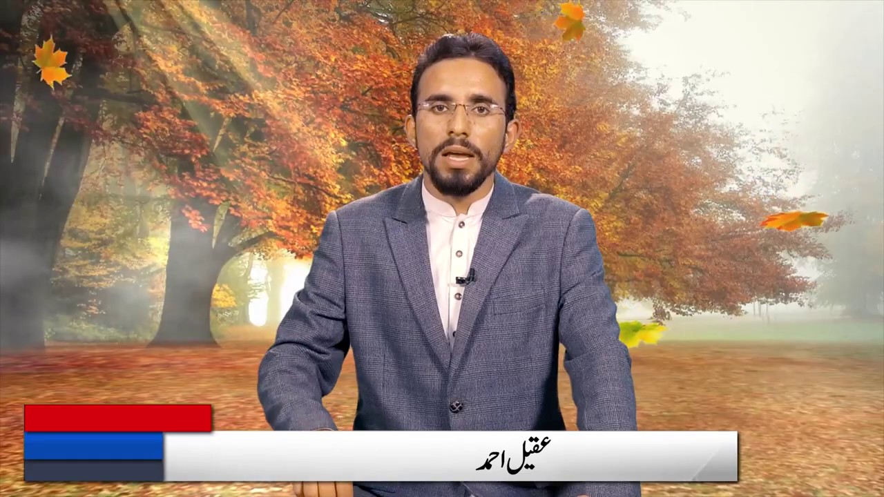 Exclusive talk on Gilgit Baltistan independence day with Akeel Ahmad - YouTube