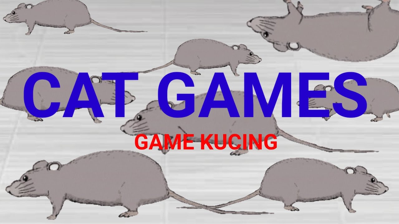 CAT GAMES-game kucing || tikus bergerak mainan kucing - YouTube