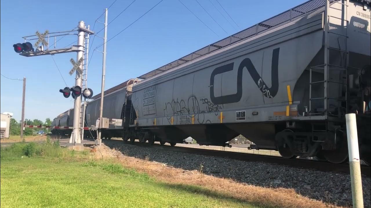 BNSF 4599 and CN 3282 leads empty grain train - YouTube