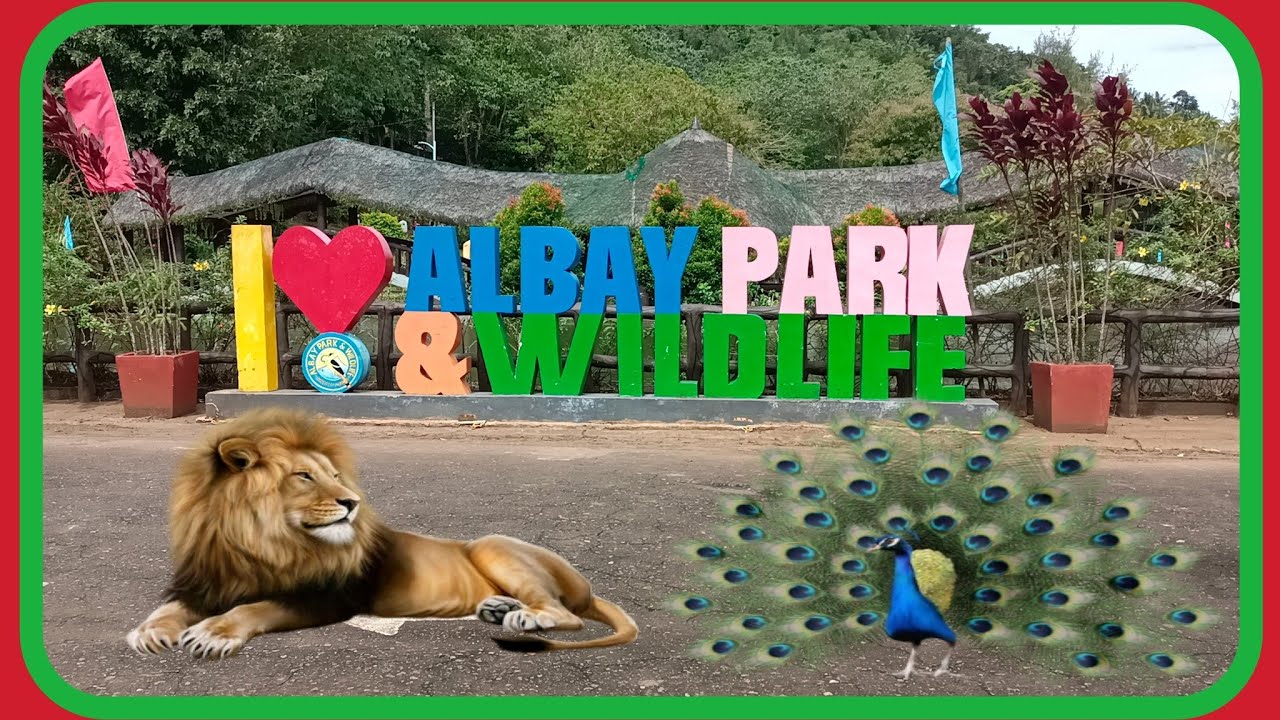 ALBAY PARK AND WILDLIFE 🟢 DADDIES ANGEL - YouTube