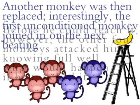 Monkey Banana Ladder Experiment - YouTube