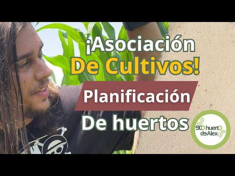 Asociaciones de Cultivos: ¡Aprovecha al máximo tu huerto!