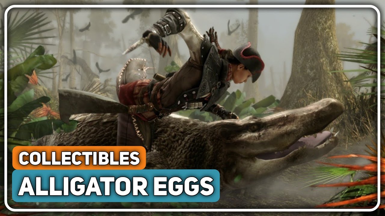 Assassin's Creed Liberation HD || Collectables || Alligator Eggs - YouTube