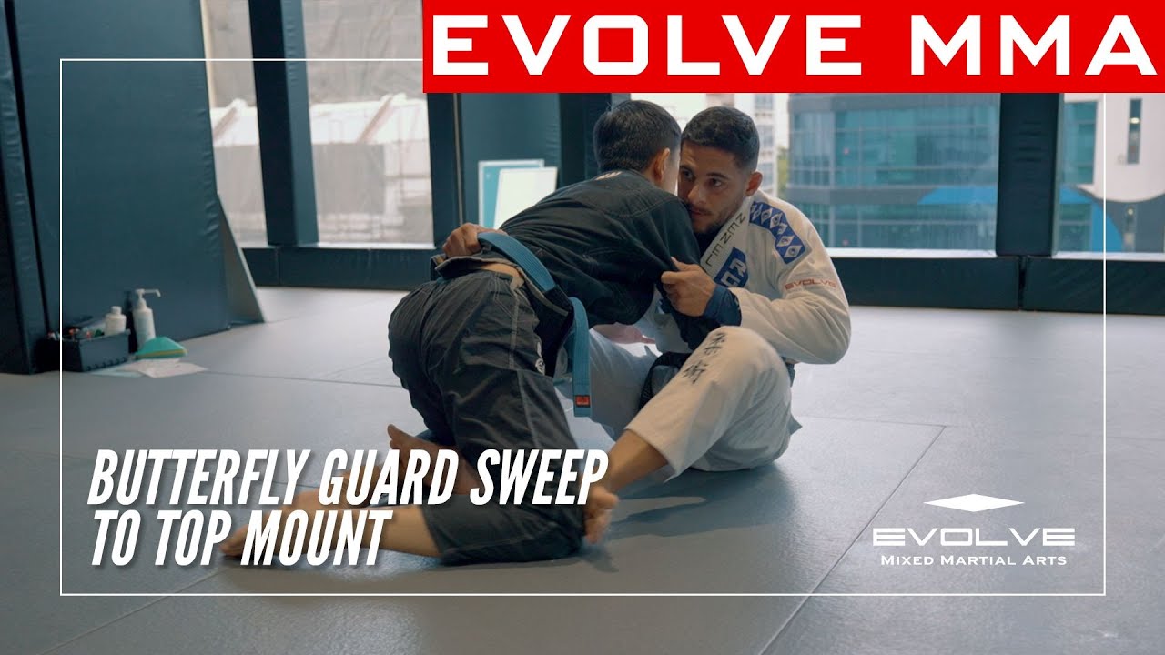 Butterfly Guard Sweep To Top Mount With Emanuel Felix. - YouTube