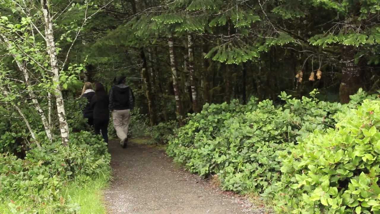 Marymere Falls & Lake Crescent Lodge by Emily Deering - YouTube