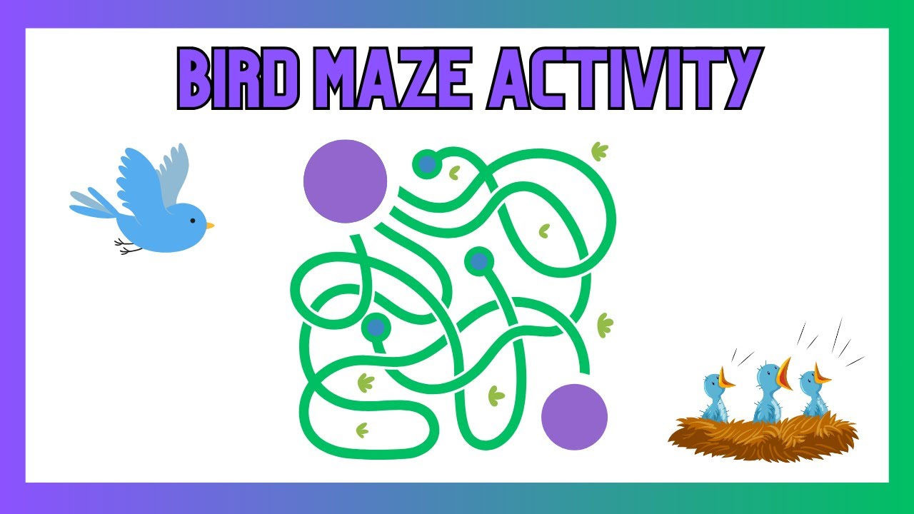 Bird Maze Activity | Learn Problem-Solving and Eye Hand Coordination ...