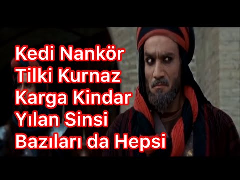 Kerbela Vakası Görüntüleri HD - Kedi Nankör Tilki Kurnaz Karga Kindar Yılan Sinsi Bazıları da Hepsi
