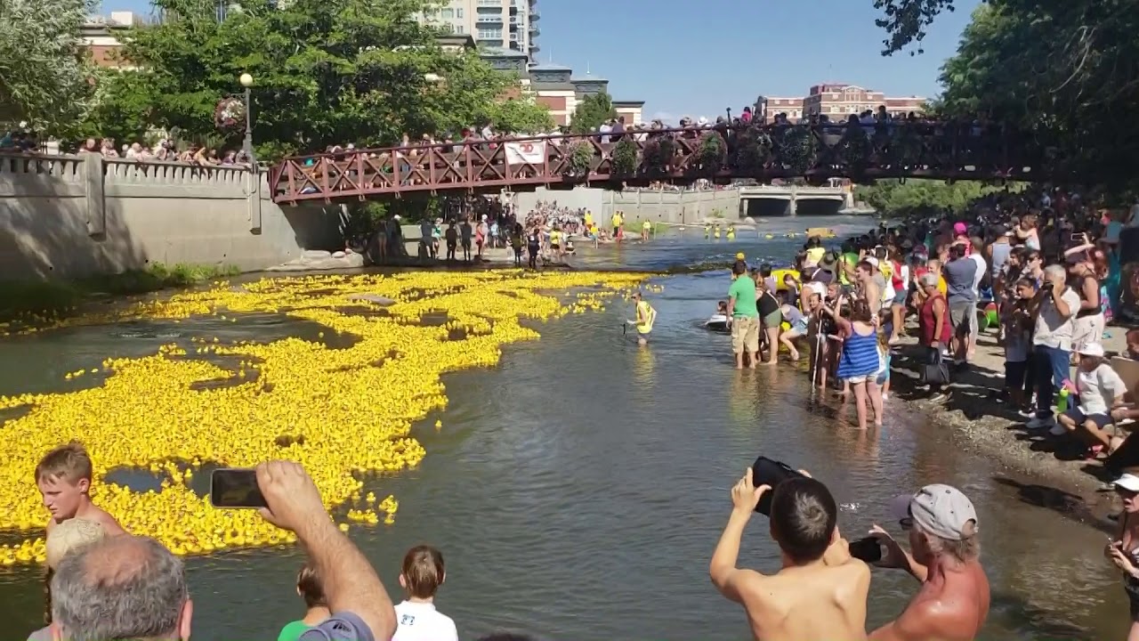 2018 Reno SPCA Duck Race - YouTube