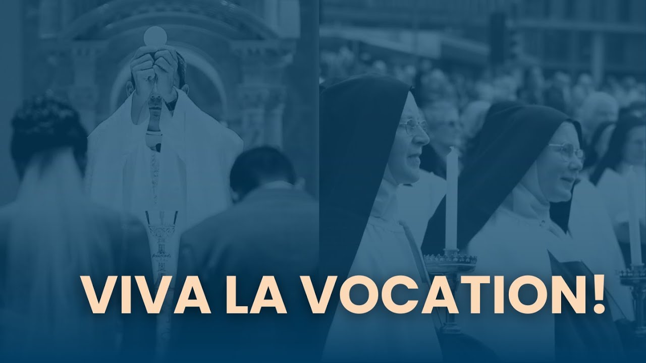 The Value of Discovering Your Own Vocation - YouTube