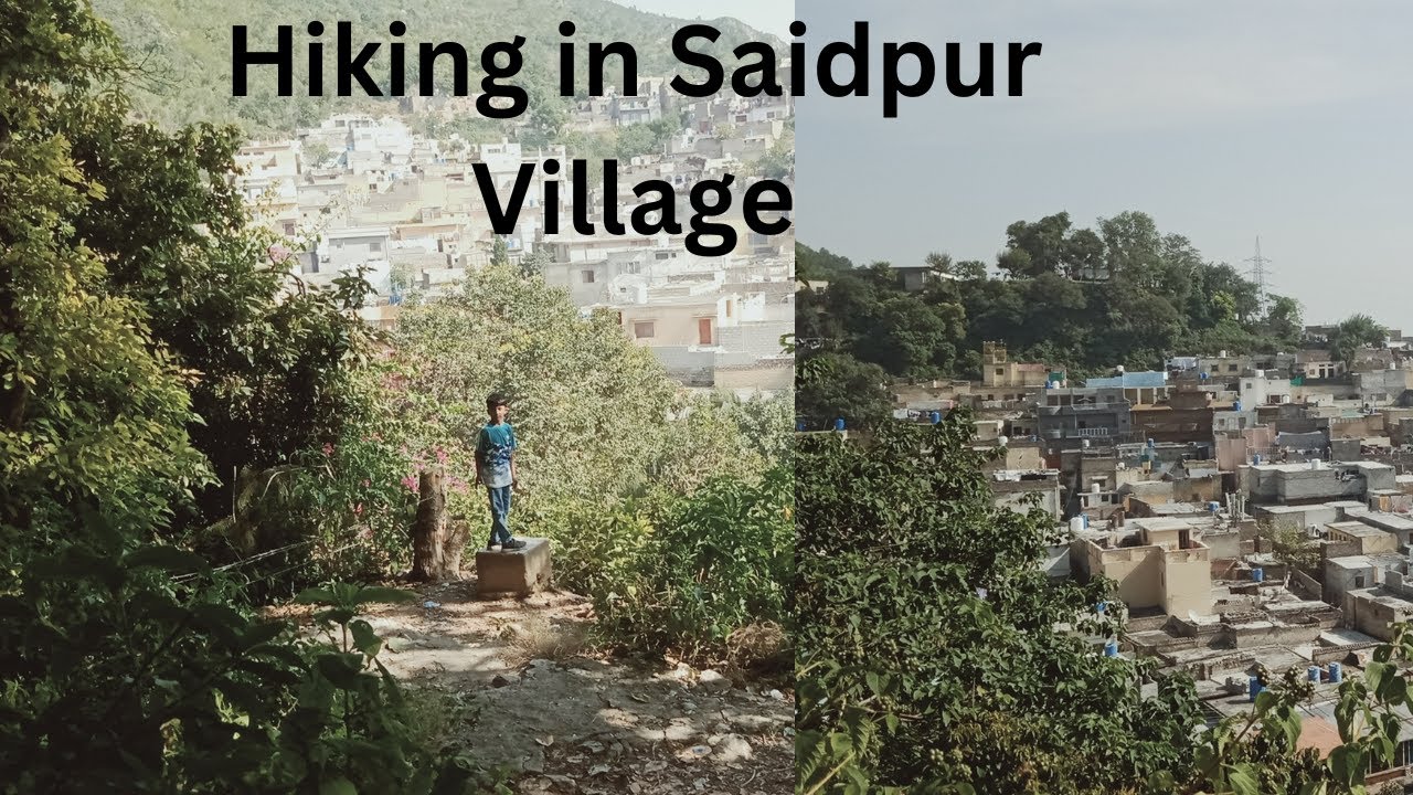 Hiking in Saidpur Village and Monkeys | Waqar Ahmad Sheikh-WAS - YouTube
