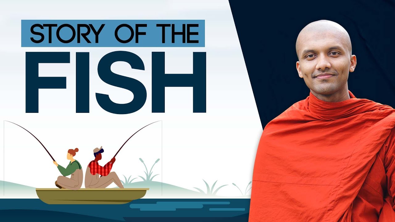Story of the Fish | Buddhism In English - YouTube