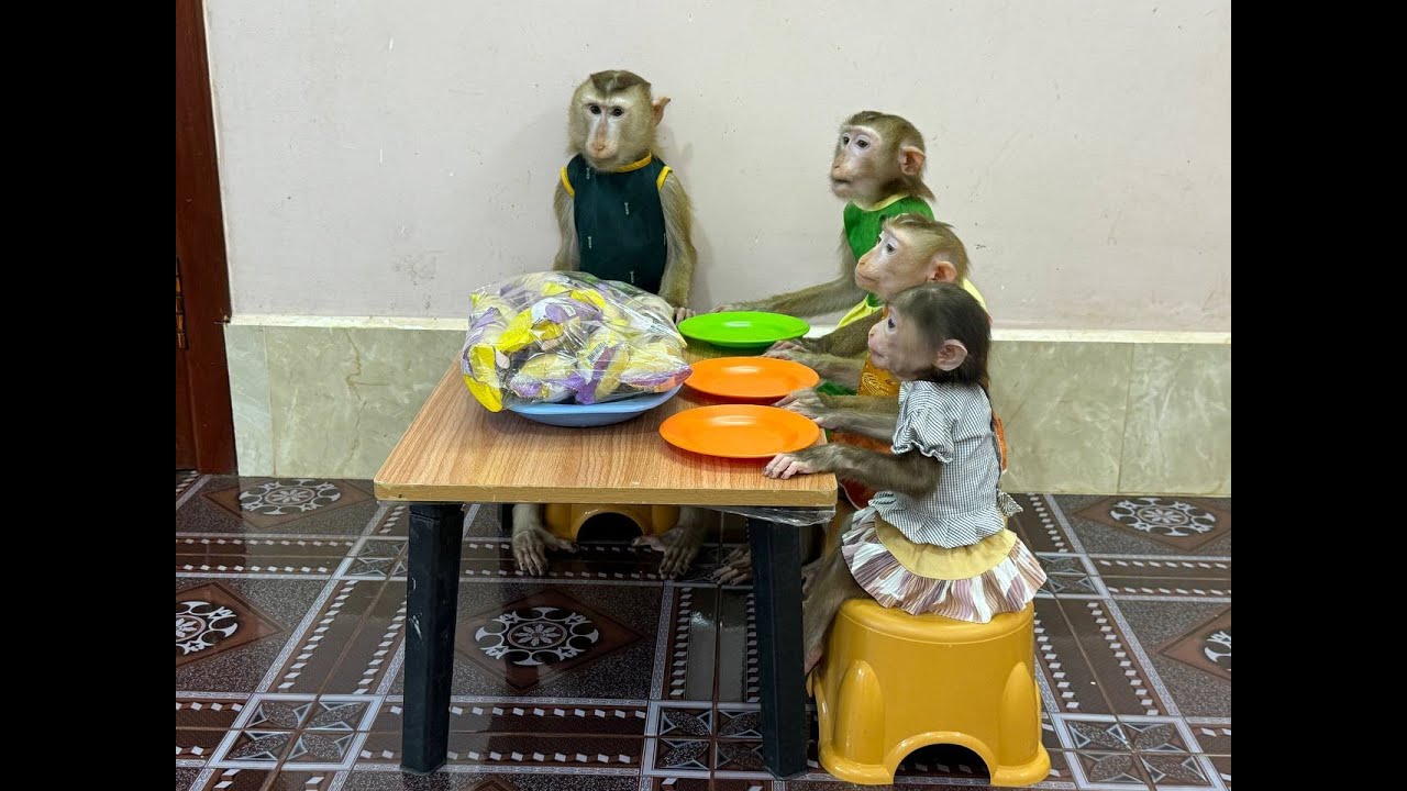 4 Siblings Sit In The Table Like A BOSS Very WELL-MANNERED Waiting Mom ...