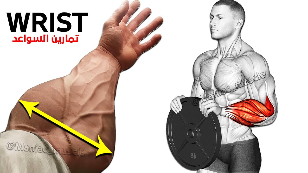 9 PERFECT EXERCISES FOREARM WORKOUT 🎯 - YouTube