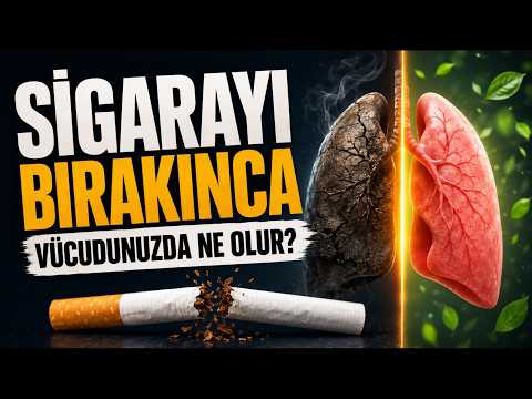 Sigarayı Bıraktıktan Sonra Vücutta Neler Olur? | İlk 20 Dakikadan 15 Yıla