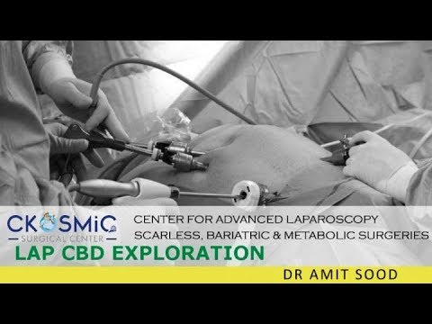 LAP CBD EXPLORATION - YouTube