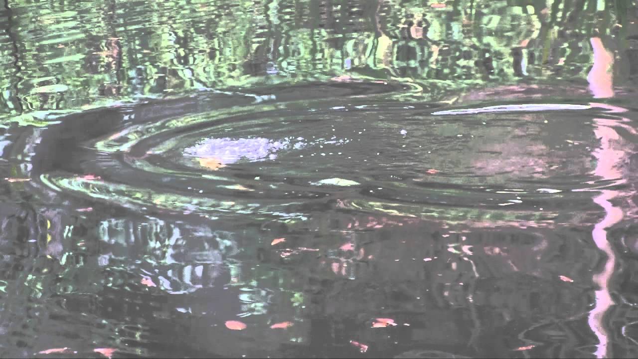 Disneyland Imagineering Tricks: Fake Flying Fish! - YouTube