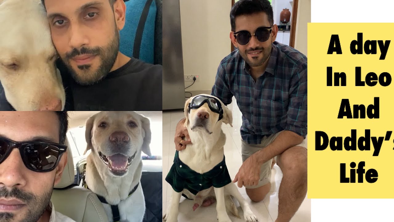 A day in Leo and dad’s life when mum is travelling #vlog #dog #dad ...