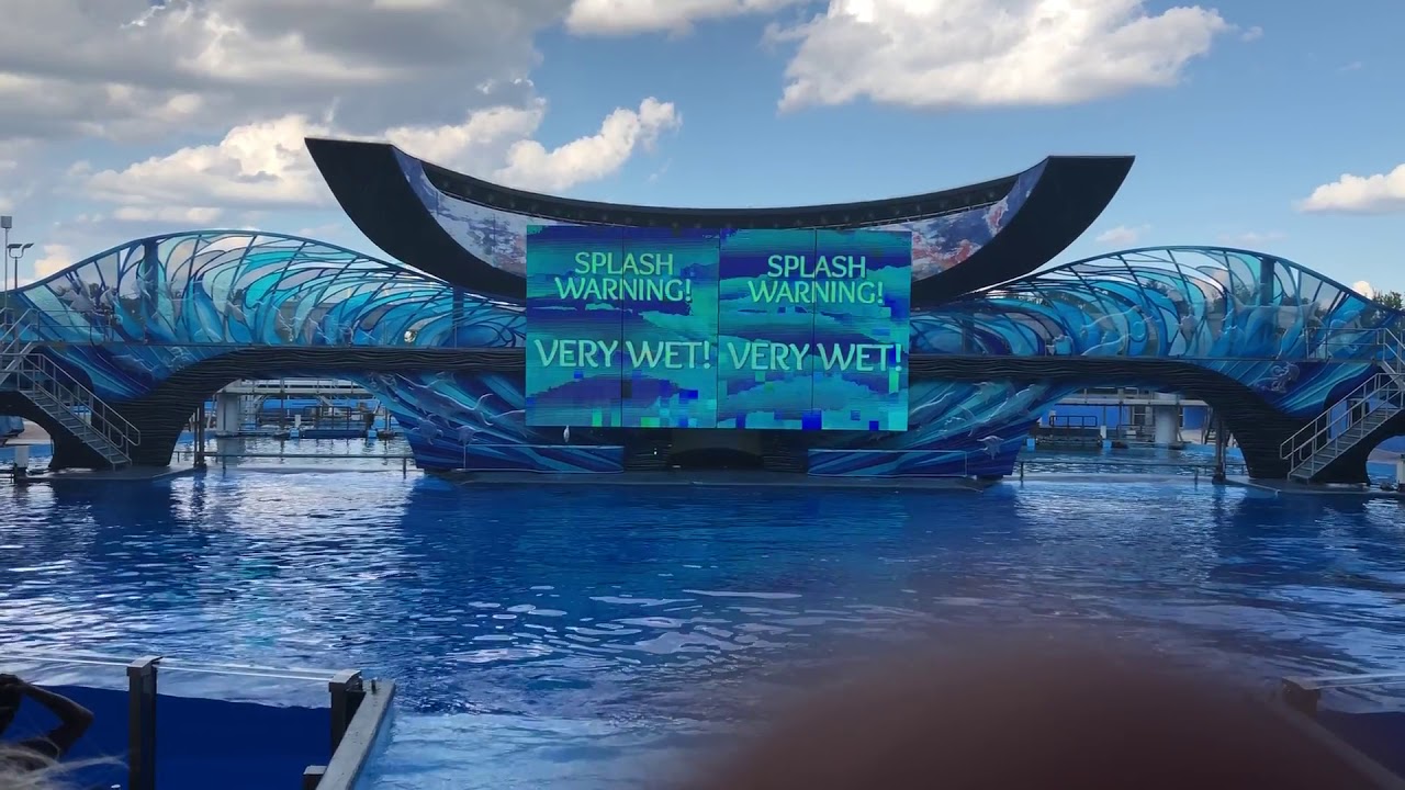 Splash Warning - YouTube