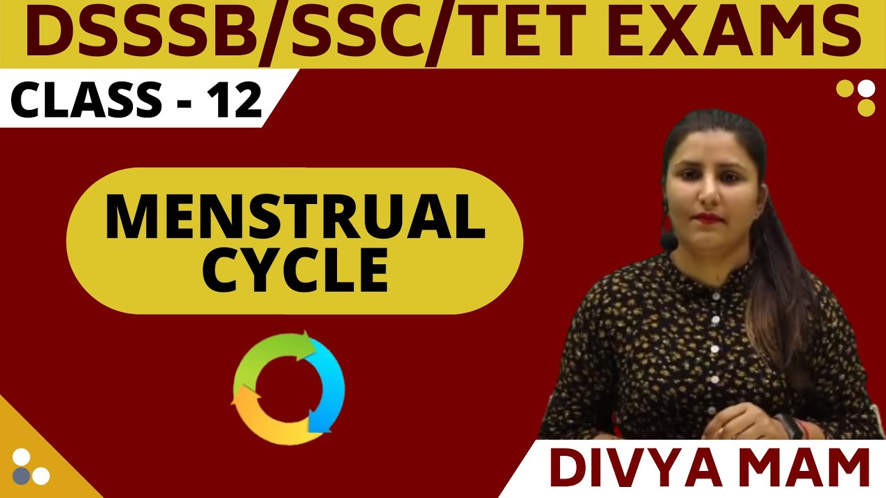 NCERT GALLERY | MENSTRUAL CYCLE - BIOLOGY || BREIF EXPLAINATION ...