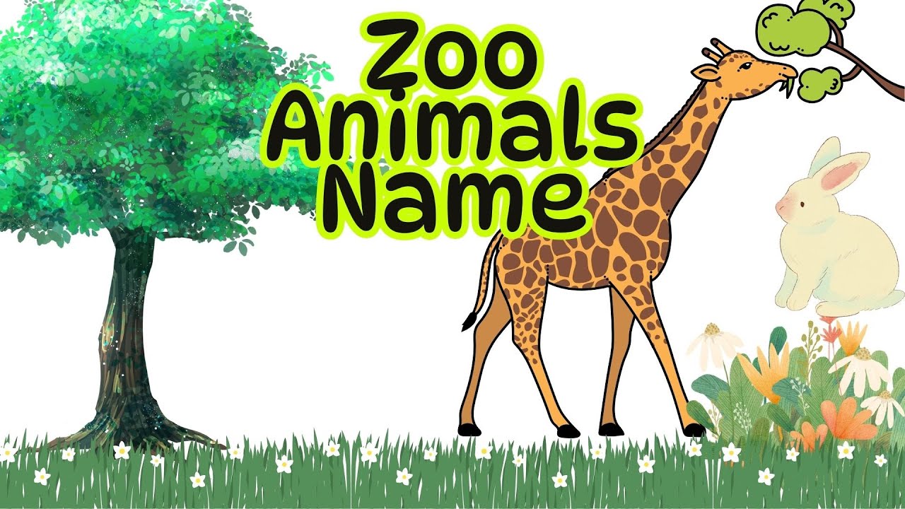 Animals name for kids I Fun learning for toddlers - YouTube